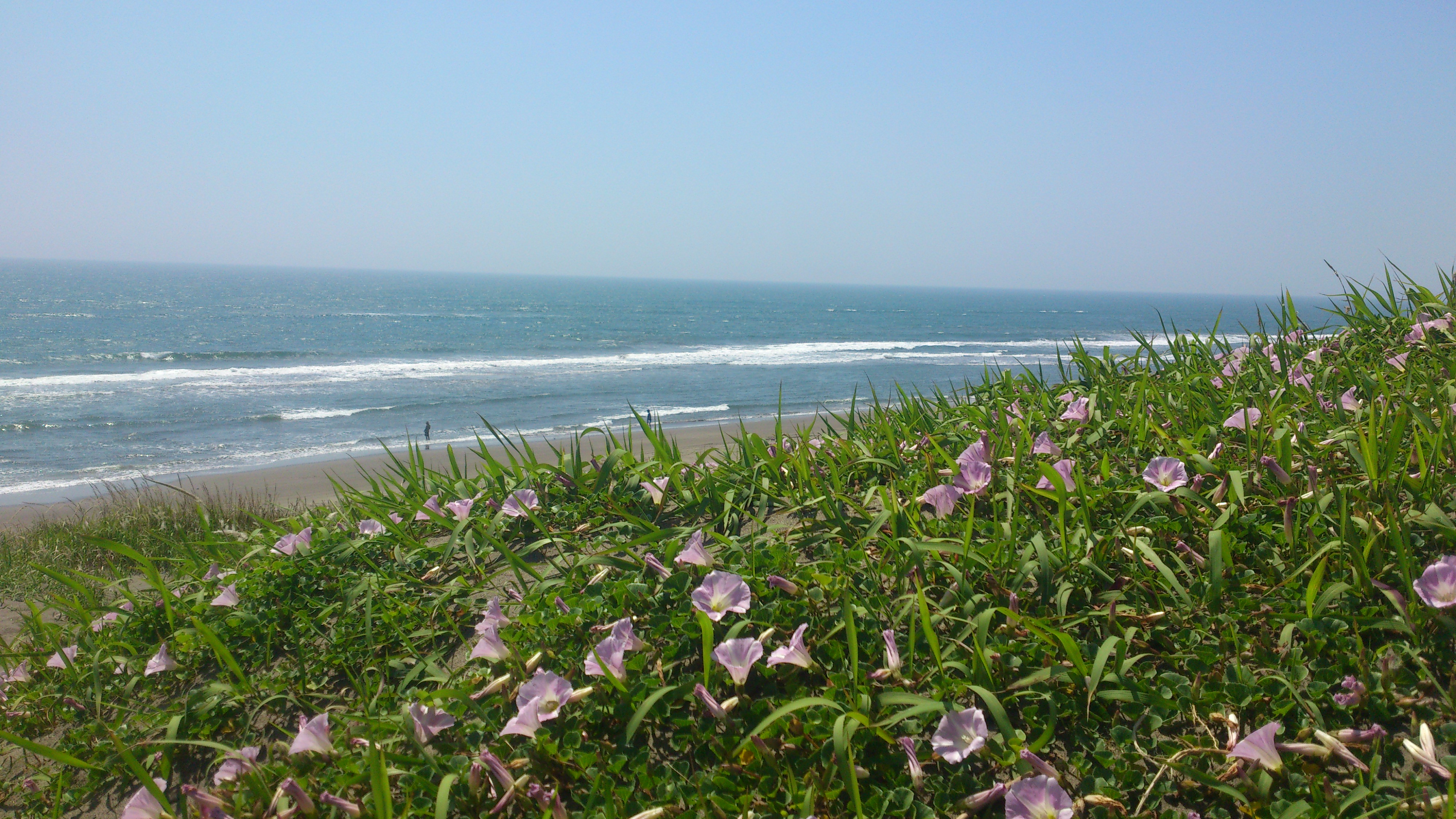 海沿いの温泉街を世界中の旅行者から選ばれる観光地にする支援メンバー募集-「やまとごころキャリア」